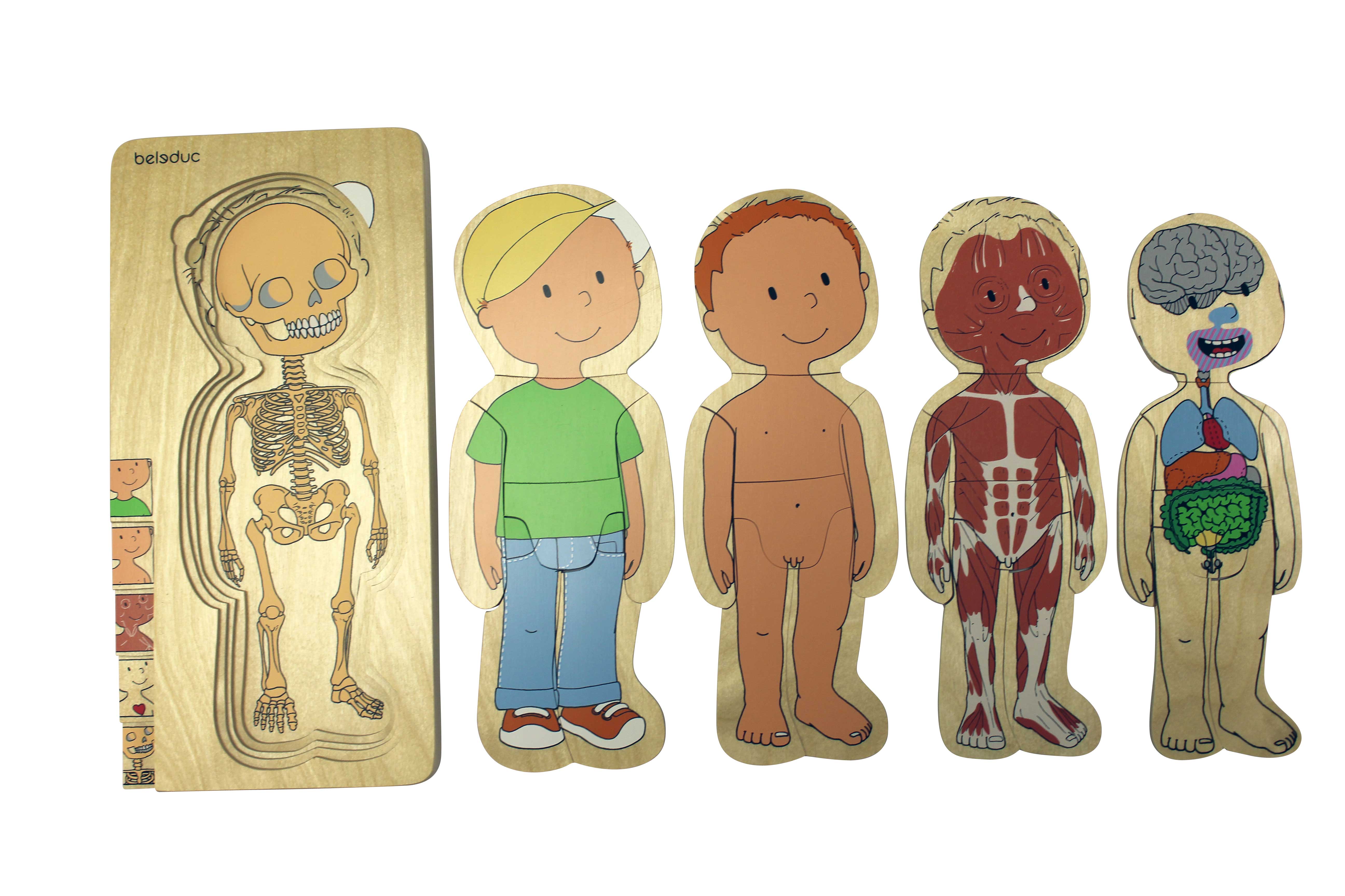 Discover Your Body Boy Puzzle - Play‘n’Learn New Zealand