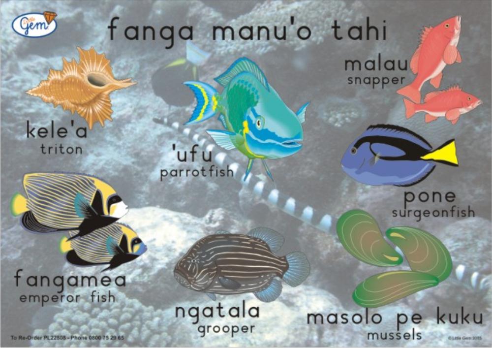 Small Fish Poster Tongan - Play‘n’Learn New Zealand
