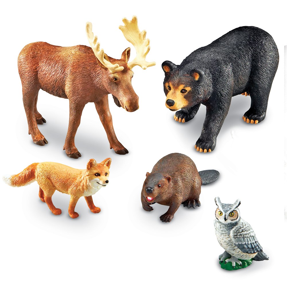 Animals - Play‘n’Learn New Zealand