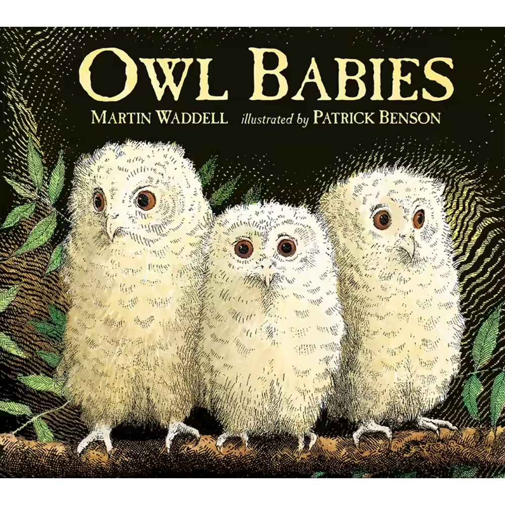 Owl Babies Board Book - Play‘n’Learn New Zealand