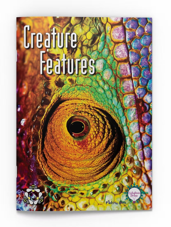 Creature Features Big Book - Play‘n’Learn New Zealand