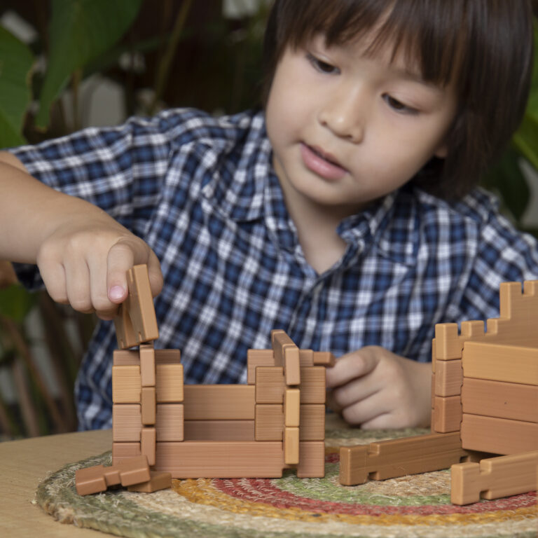 Tabletop Notch Building Blocks - Play‘n’Learn New Zealand